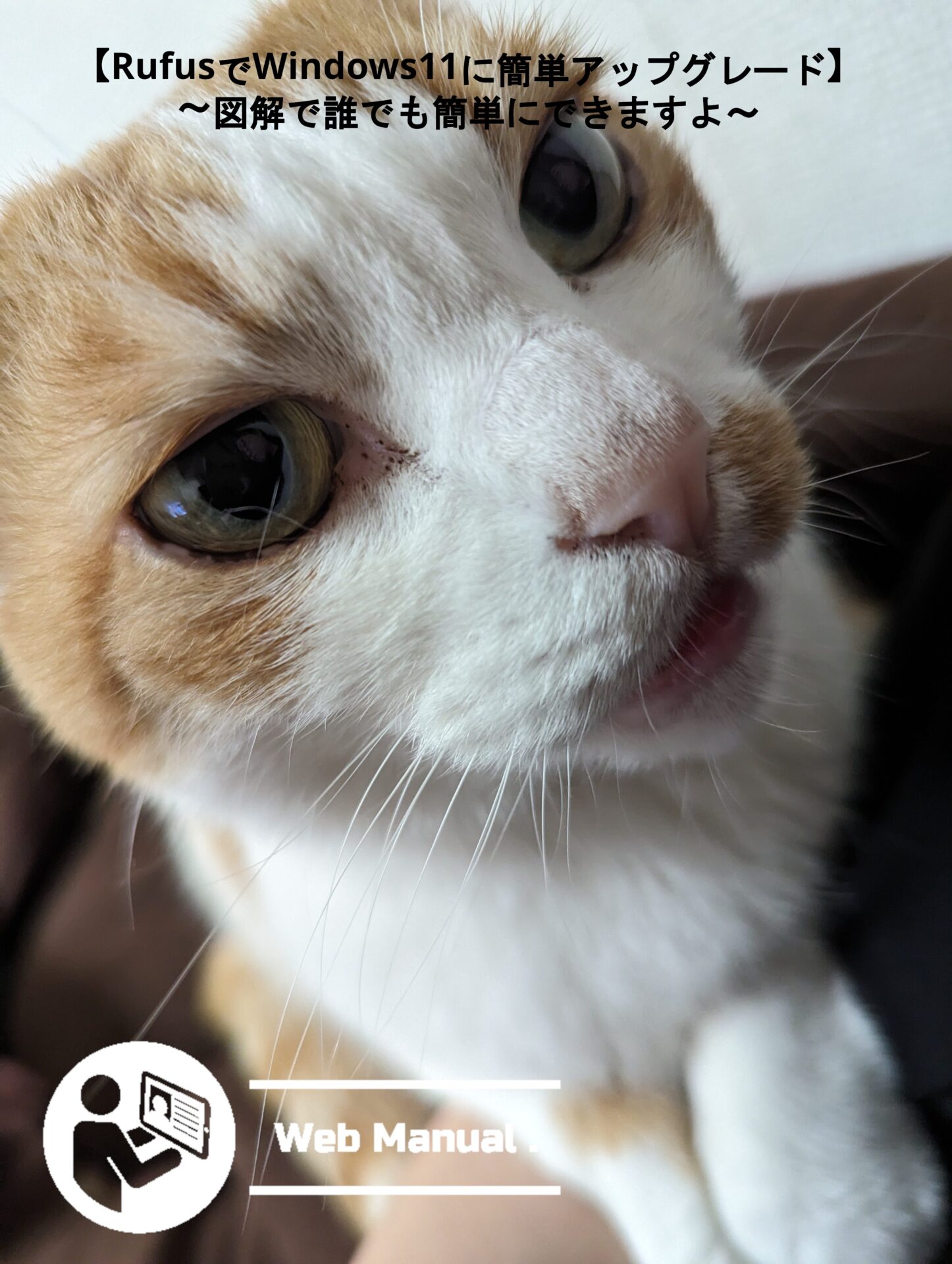 【RufusでWindows11に簡単アップグレード】～図解で誰でも簡単にできます～